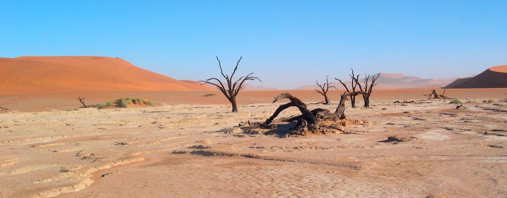 Woestynervarings is verrykende ervarings. – NG Kerke Adelaide en Fort ...